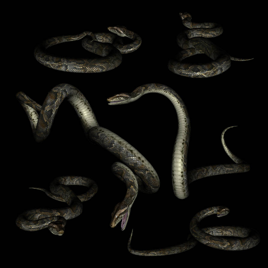 Pythonpack By Misstock On DeviantArt