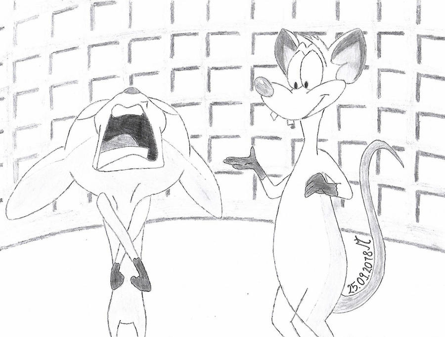 Pinky X By Marcthor On Deviantart