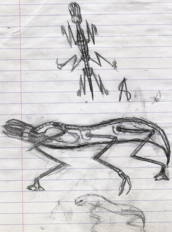 Alien Anatomy By Oldarmodillo On Deviantart