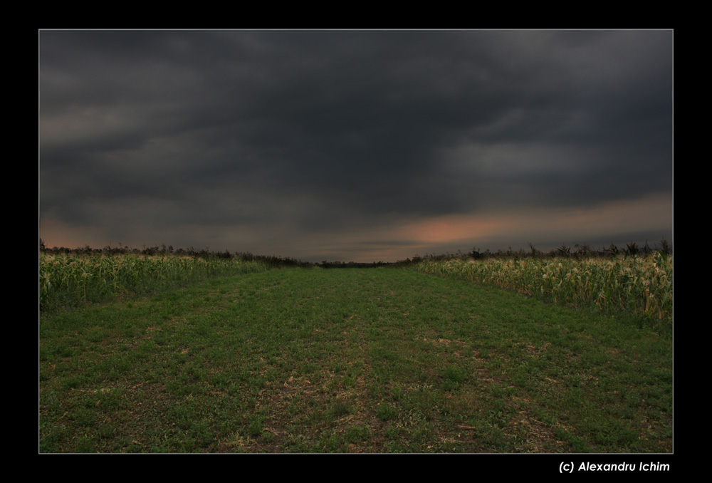 Infinite View by nemesis-fk on DeviantArt