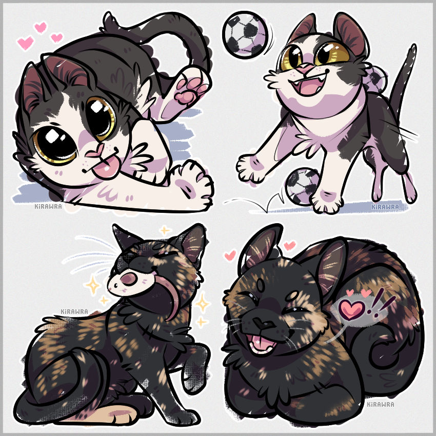 Kitty Comp By Kirawra On Deviantart