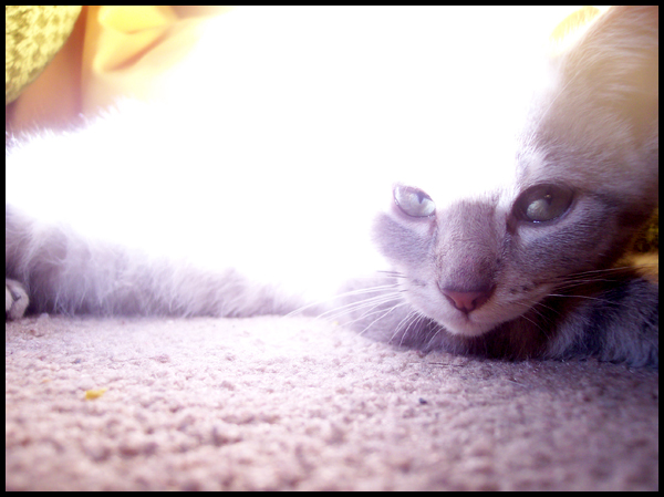 King Ghastly by ElloSunshine on DeviantArt