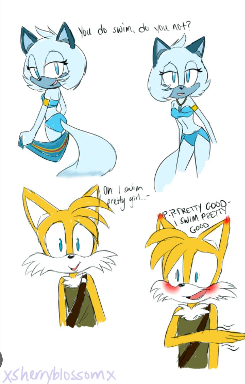 Sonic The Hedgehog Fan Ships Tails X Cc By Nazarsonicfan On Deviantart