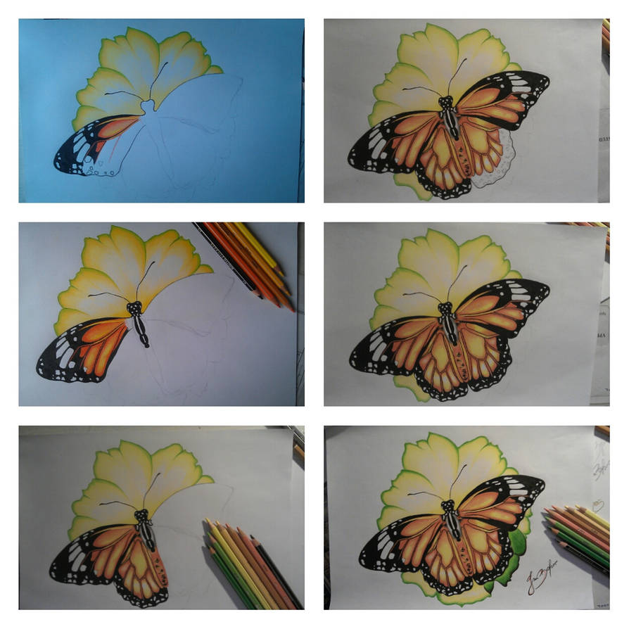 Butterfly On The Flower Drawing Step By Step By InesArtist On DeviantArt butterfly-on-the-flower-drawing-step-by-step-by-inesartist-on-deviantart