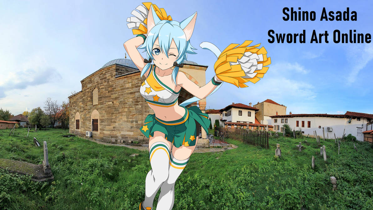Sword Art Online Shino Asada 7 Wallpaper By Occitan21 On Deviantart