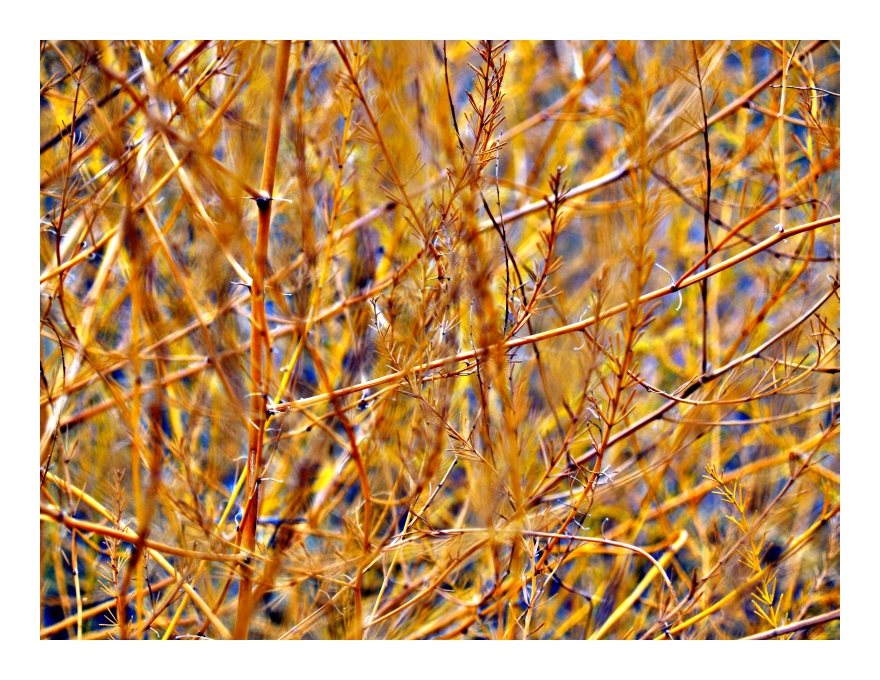 plant matrix by infinityloop on DeviantArt