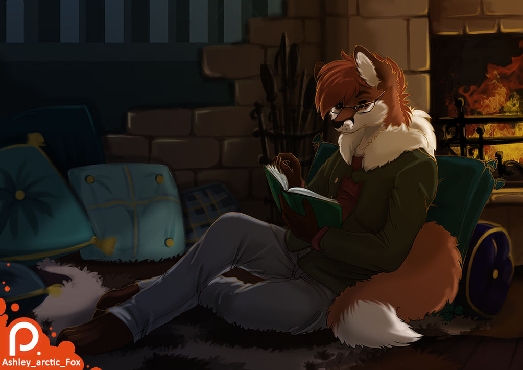 Quiet Night By Ashley Arctic Fox On Deviantart
