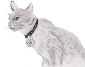 Kit Cat by Charmed-Club on DeviantArt