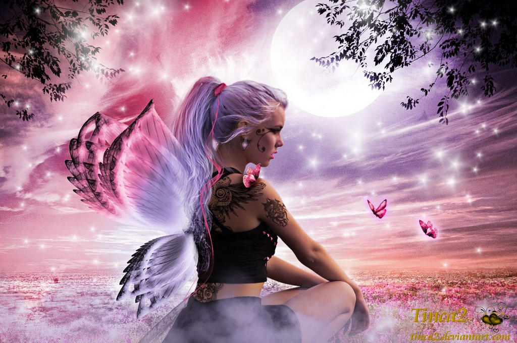 Butterfly By Tinca2 On Deviantart