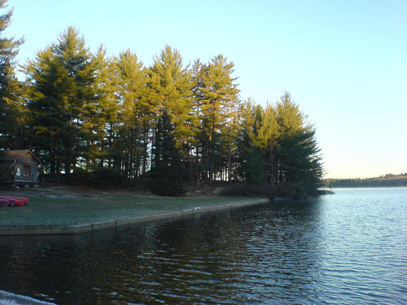 Bark Lake V by thapnoy on DeviantArt