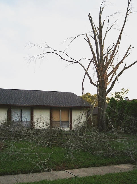 Stripped of Everything by immortalpear on DeviantArt