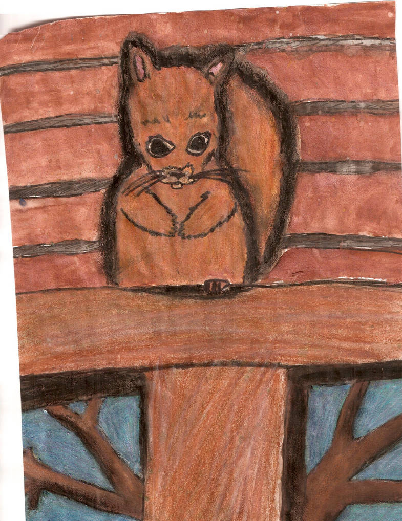SIMP Squirrels in My Pants lol by 3moBunni on DeviantArt SIMP Squirrels in My Pants lol by 3moBunni on DeviantArt