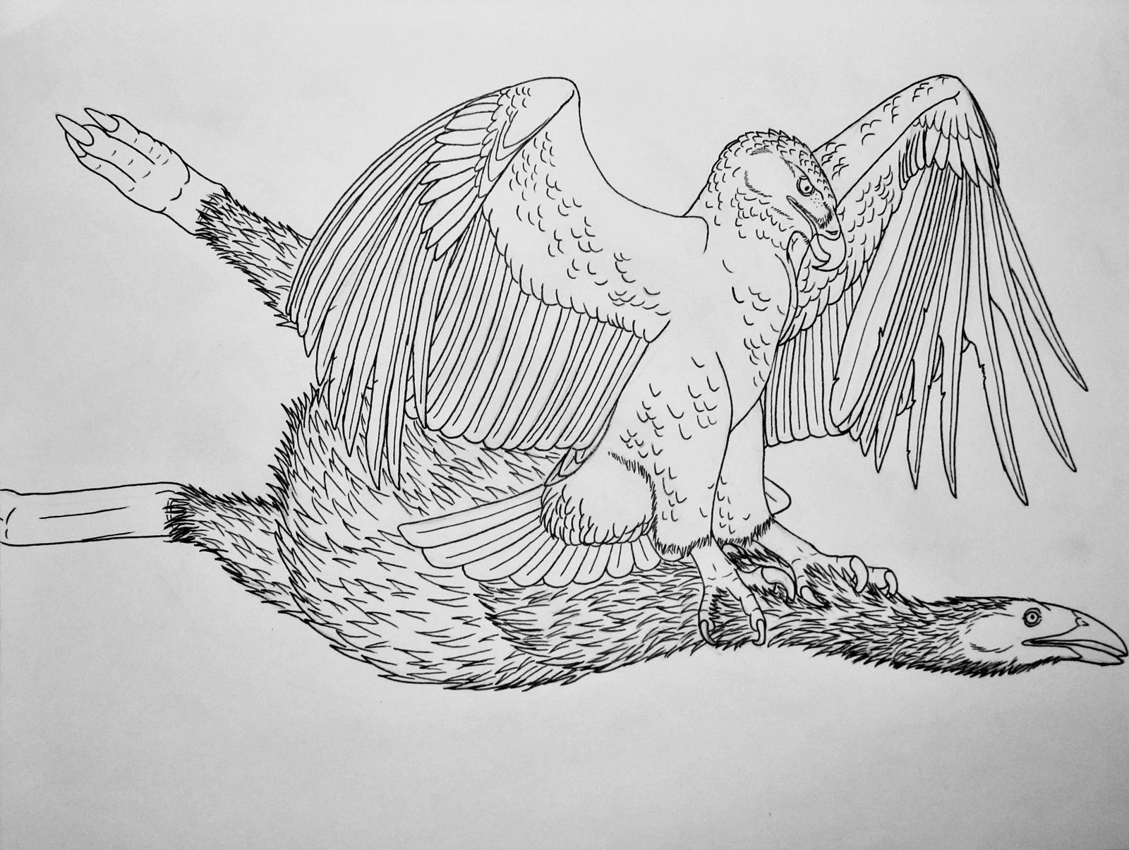 Haasts Eagle By Saberrex On Deviantart