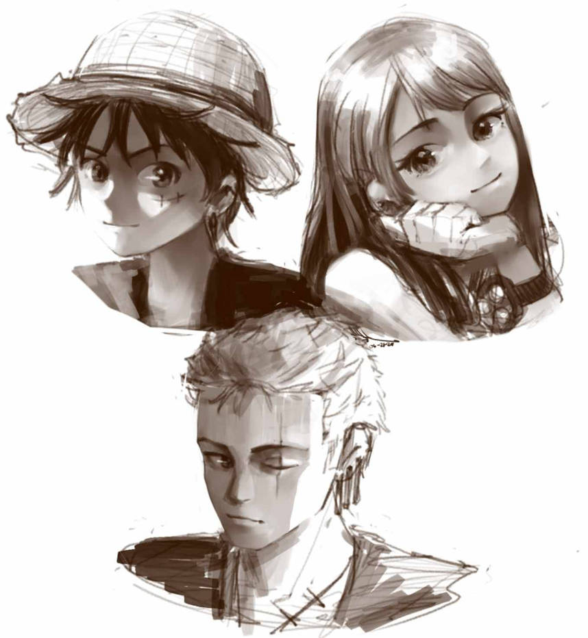 Sketch 8 One Piece Fan Art By Shiondono On Deviantart
