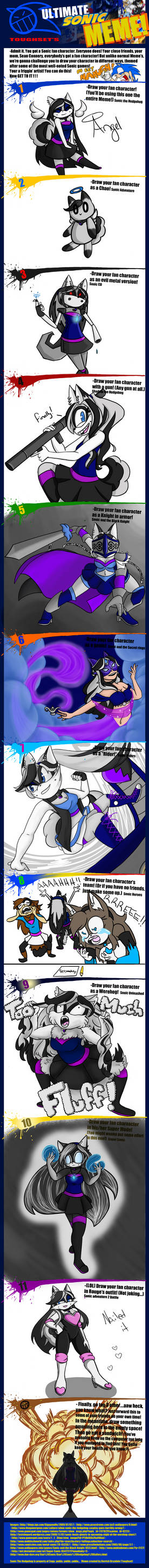 Sonic Oc Meme By Derpynerdie On Deviantart