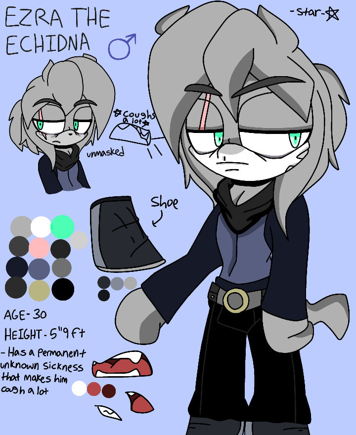 Ezra The Echidna Sonic Oc By Fragmentofastar On Deviantart