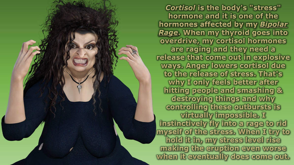 Bipolar Rage EXPLAINED By Dim35 On DeviantArt bipolar-rage-explained-by-dim35-on-deviantart