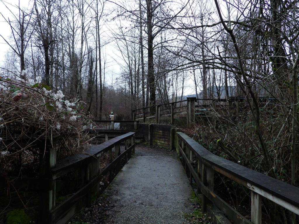 Blue Heron Park~2192023~1 By Matthew Fuller On Deviantart