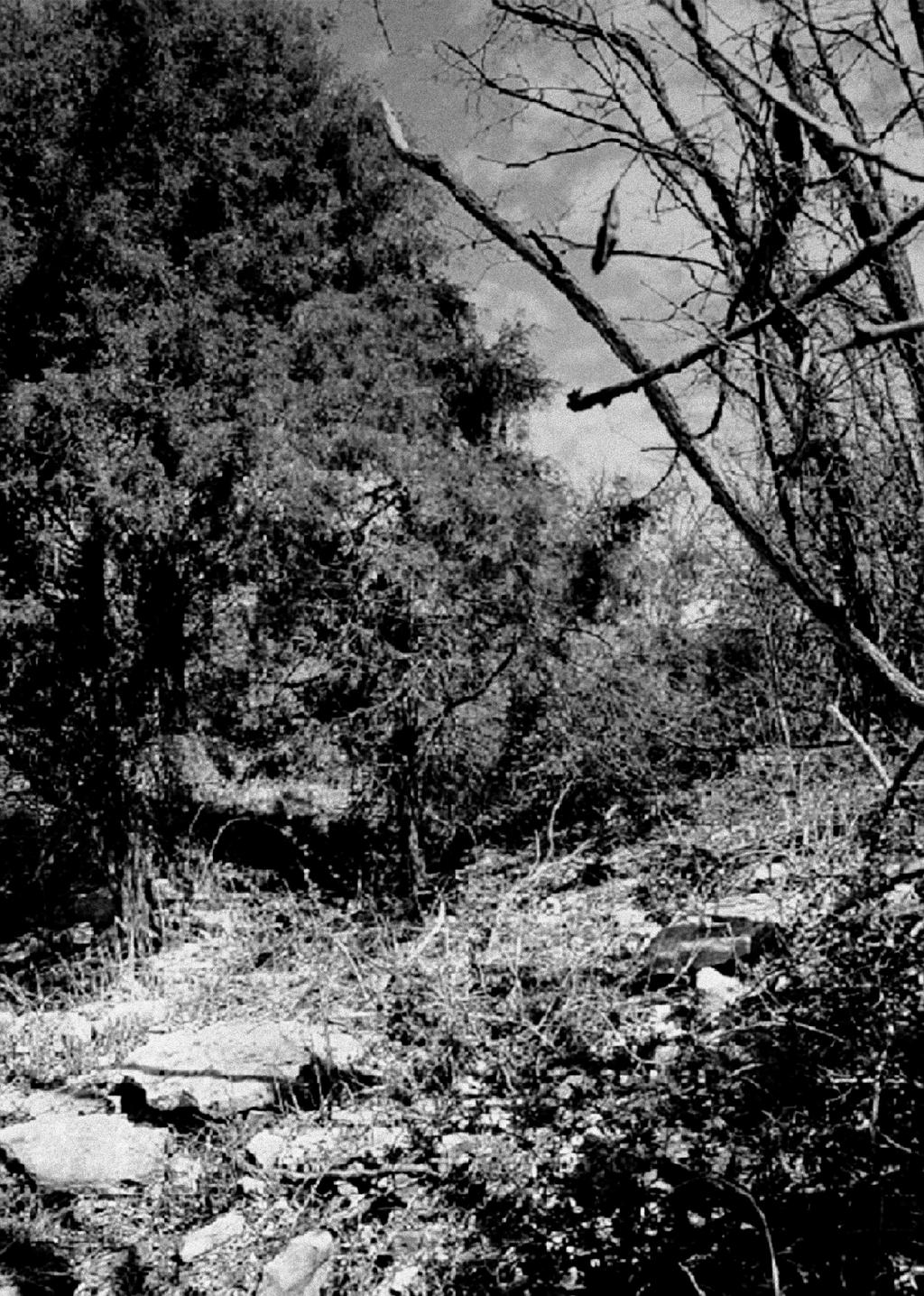 Rock Trail By Thewolfcreek On DeviantArt rock-trail-by-thewolfcreek-on-deviantart