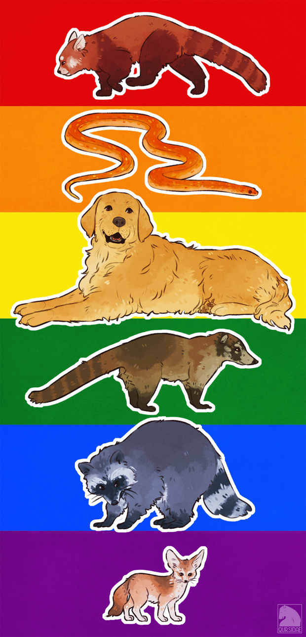 Pride Rainbow Familiars By Qursidae On Deviantart