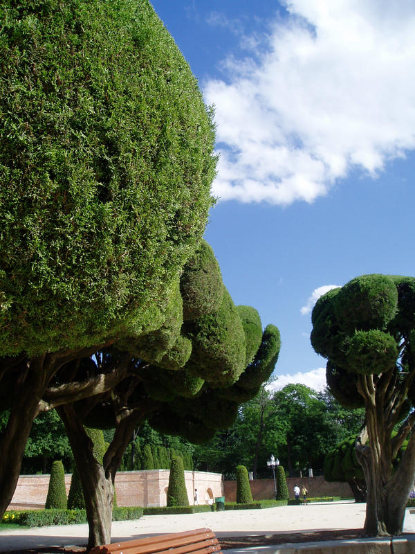 Super Mario Plant Life by fuzzpooh on DeviantArt