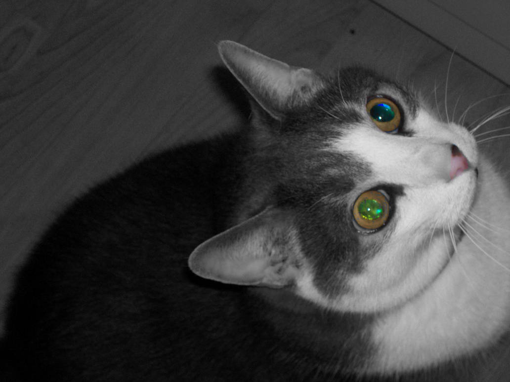 Marble Eyes by Hoff14 on DeviantArt