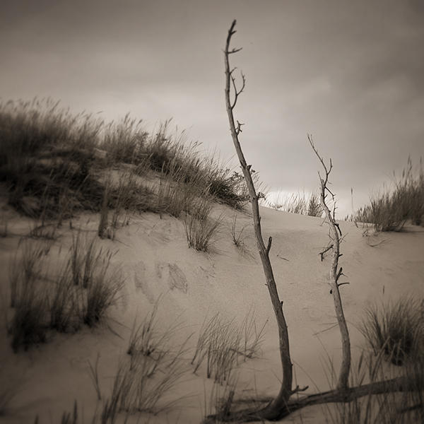 silent sand by JoannaRzeznikowska on DeviantArt