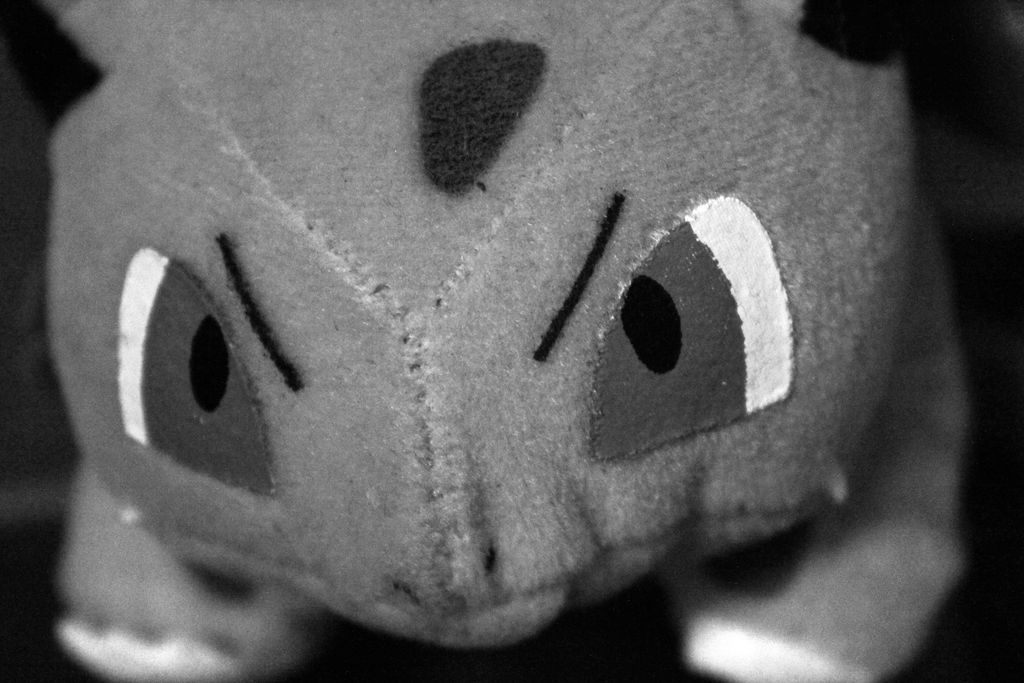 A wild Bulbasaur appeared! by HJAgjadhgajHDJKHg3 on DeviantArt A wild Bulbasaur appeared! by HJAgjadhgajHDJKHg3 on DeviantArt