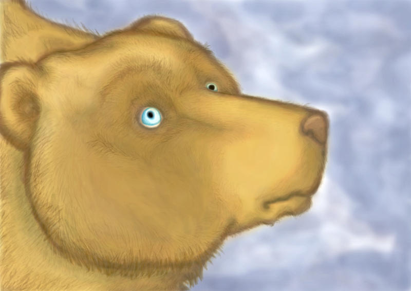 Blue-Eyed Bear by red2violet on DeviantArt