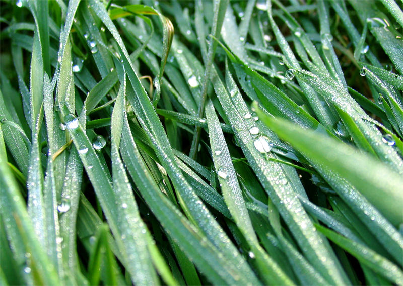 plop plop by inSahne on DeviantArt