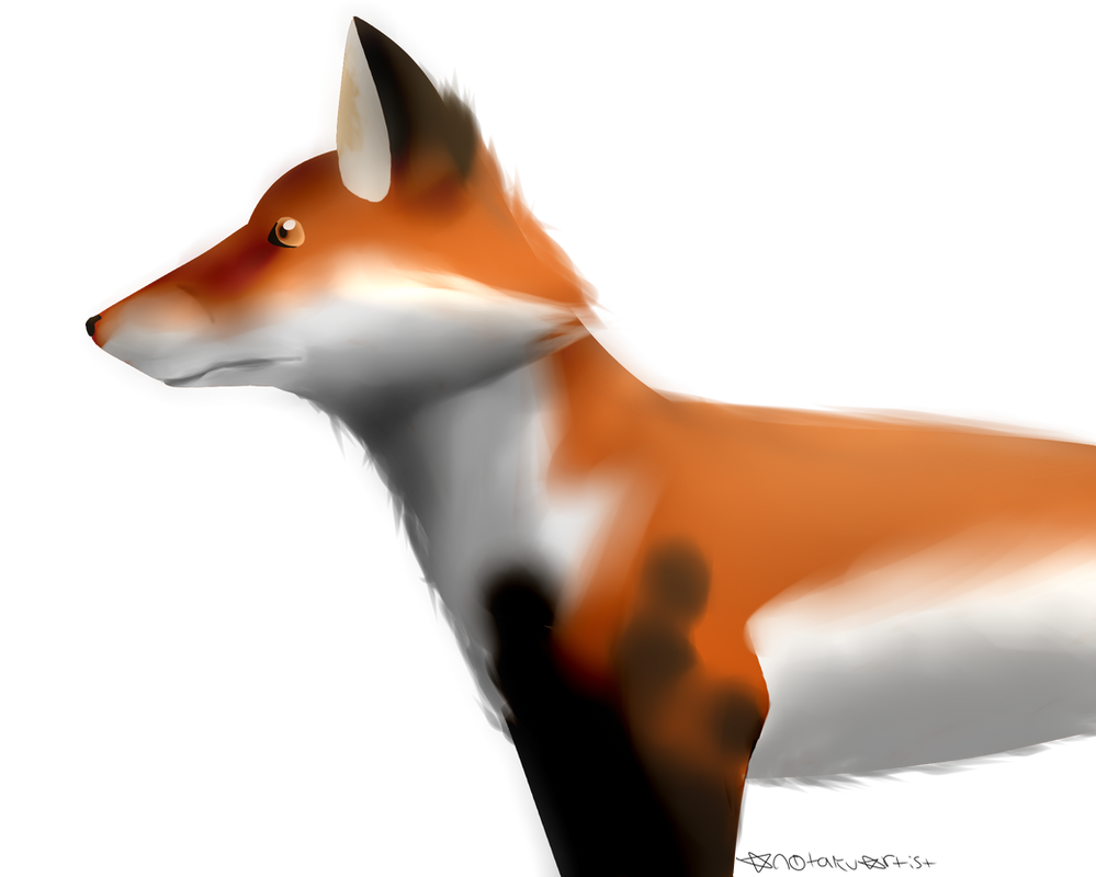 Realistic Art Practice By AnOtakuArtist On DeviantArt realistic-art-practice-by-anotakuartist-on-deviantart