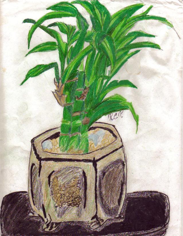 Bamboo by Jawbreaker-chibi on DeviantArt