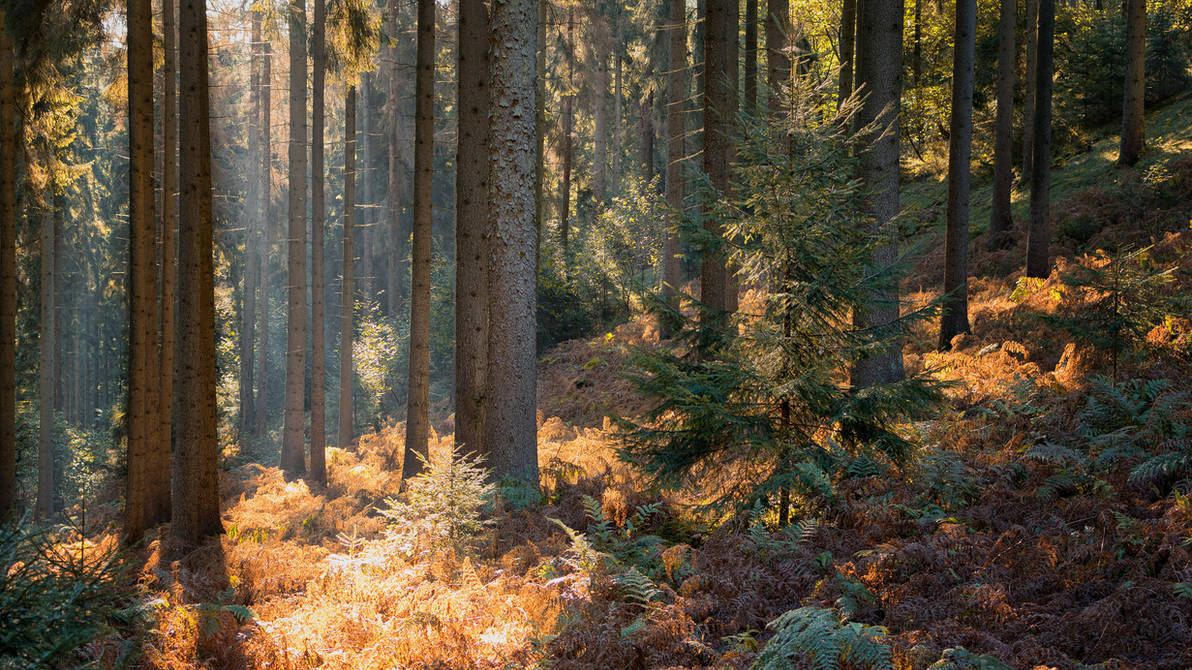 8th October By 300kilohertz On DeviantArt 8th-october-by-300kilohertz-on-deviantart
