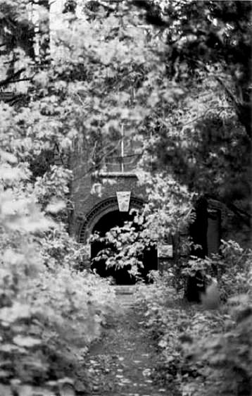 Hidden Path by Frositilicus on DeviantArt