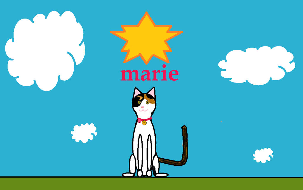 A Drawing Of My Kitty Marie By Kitkatrawesome On Deviantart