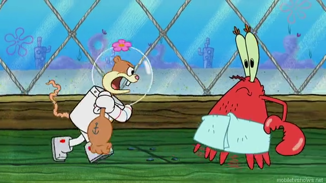 Sandy Cheeks Getting Angry To Mr Krabs By Shinrider On Deviantart