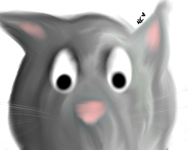 Chester The Cat by kurawr on DeviantArt