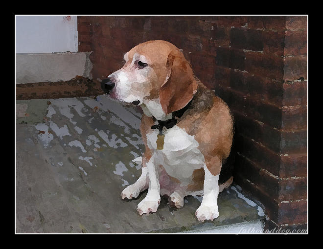 Fat Hound, 5 by snickiesnackie on DeviantArt