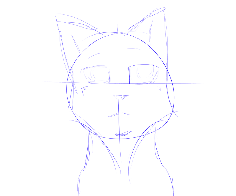 Cat Animated Practice By Ever Cw On Deviantart