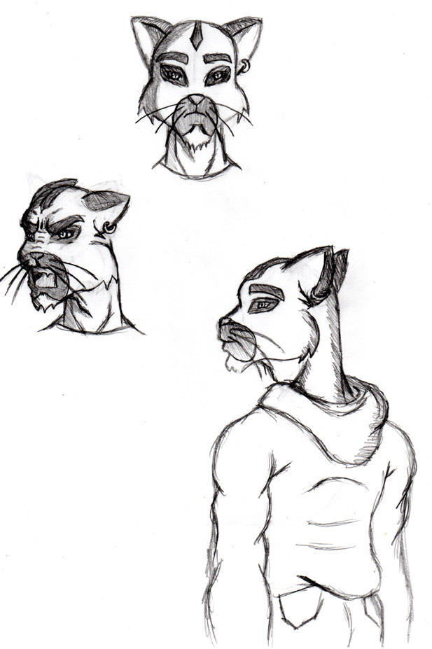 Frankie: Sketch by KaioPiro on DeviantArt
