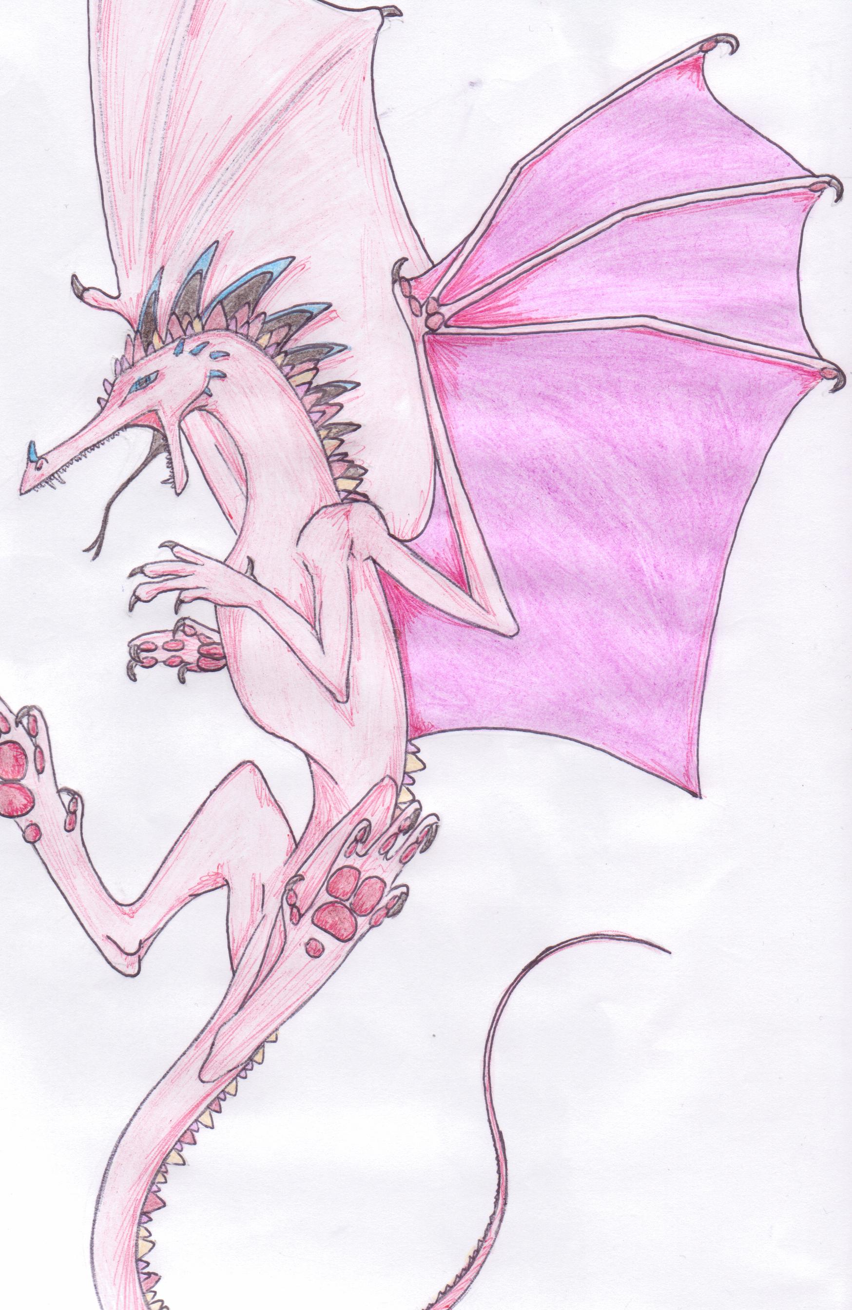 Pinked Winged Fire Dragon by KaguriShiba21 on DeviantArt