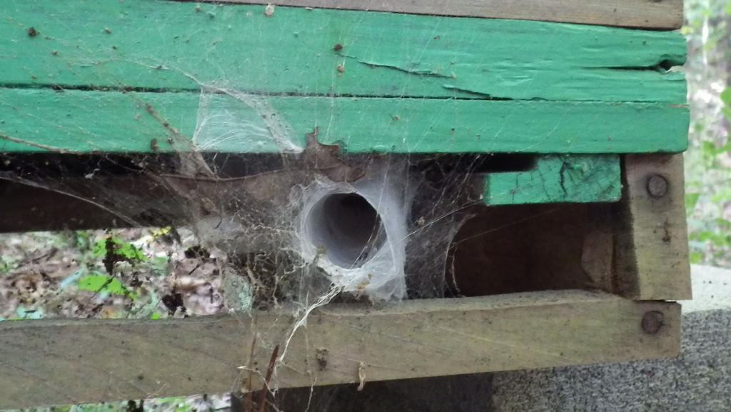 Spider Lair By Lecblue On Deviantart