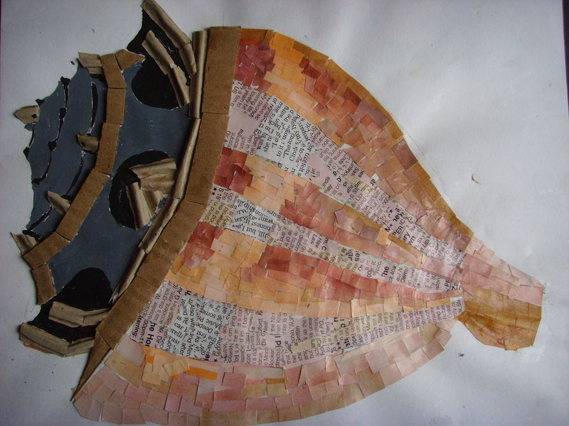 Shell Collage by Xyberius on DeviantArt