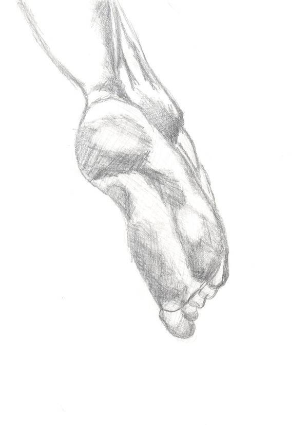 Anatomy of the Foot 2 by GothikSprite on DeviantArt