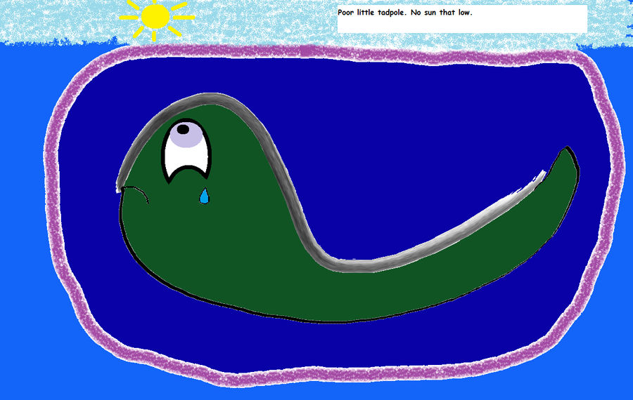 Poor Little Tadpole By Iridice On Deviantart