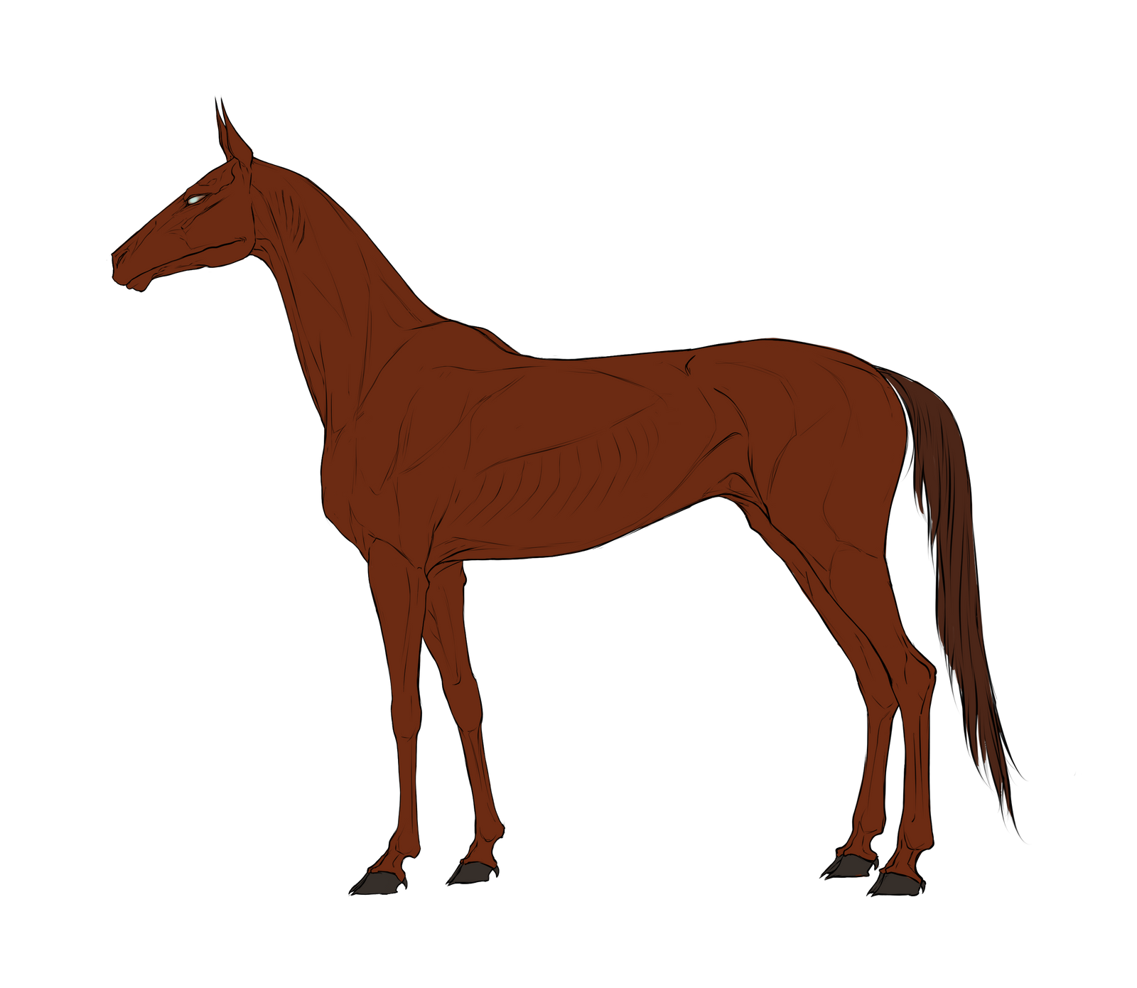 Chestnut Base Color By OfDarkestFantasies On DeviantArt chestnut-base-color-by-ofdarkestfantasies-on-deviantart