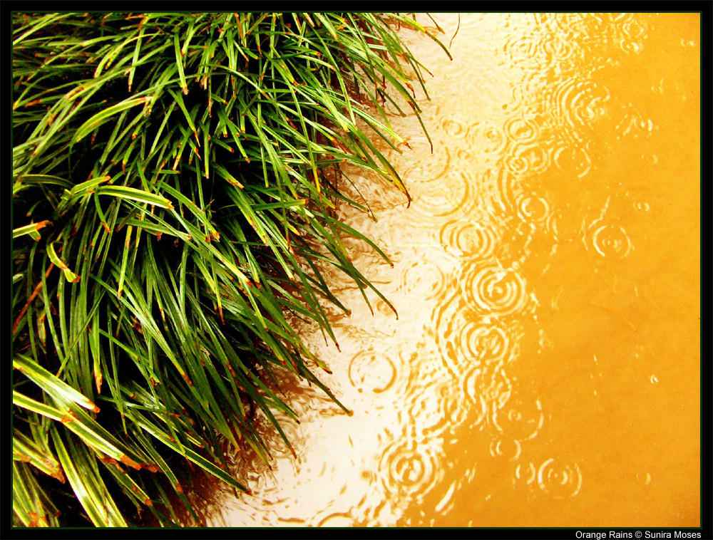 Orange Rain by Sunira on DeviantArt