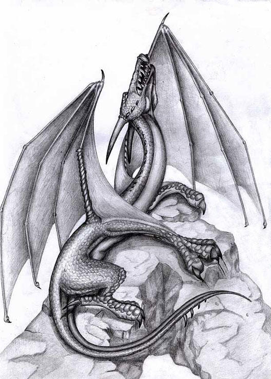 crying dragon by Eskalilah on DeviantArt