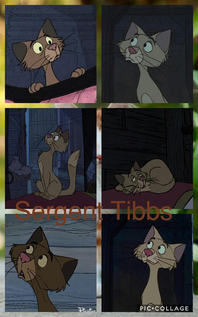 Collage Sergent Tibbs By Kawaiitrollsfan On Deviantart