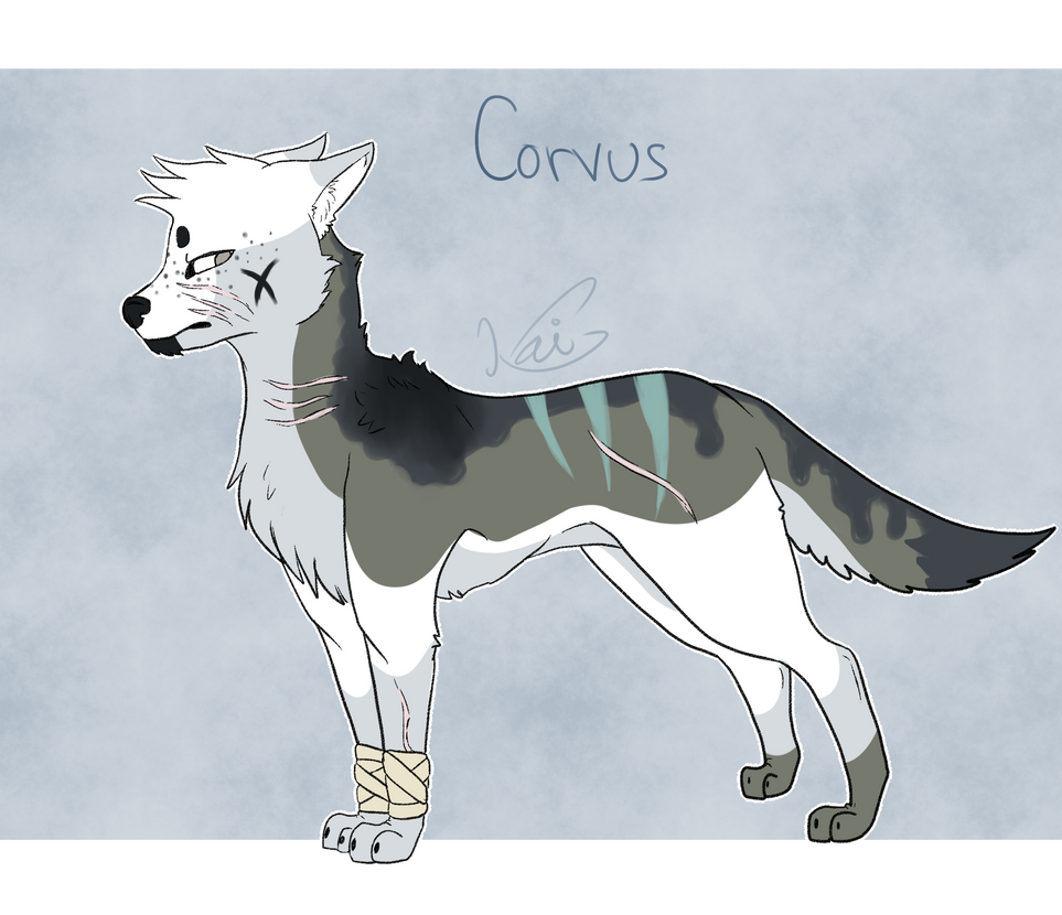 Corvus Reference Sheet by KaiSkelyx on DeviantArt Corvus Reference Sheet by KaiSkelyx on DeviantArt